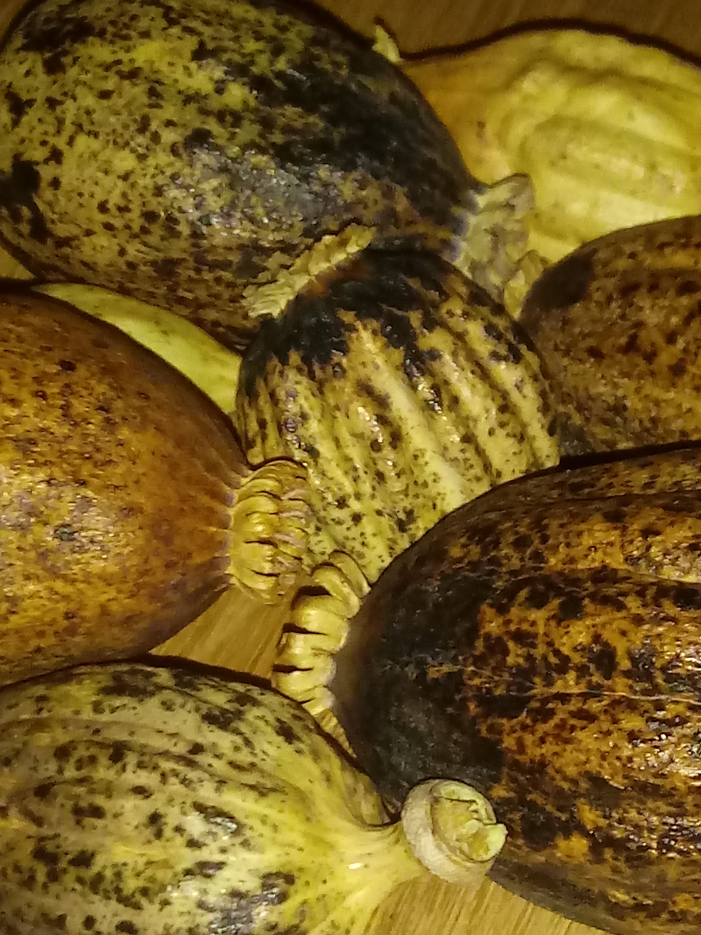 Buy Dried Poppy Pods USA | Southern Dried Floral