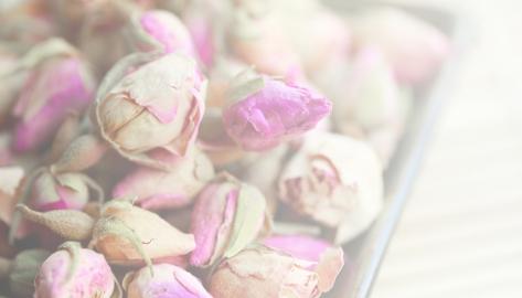 Buy Dried Poppy Pods USA | Southern Dried Floral